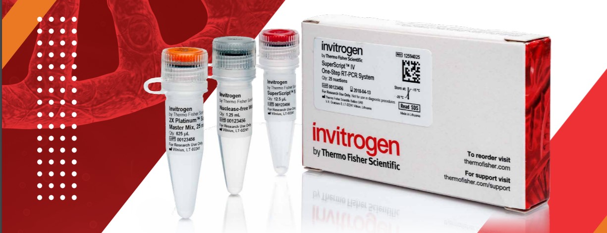 Invitrogen™ SuperScript™ IV One-Step Real Time PCR, ezDNase™ Enzimli ... Invitrogen™ SuperScript™ IV One-Step Real Time PCR, ezDNase™ Enzimli ...